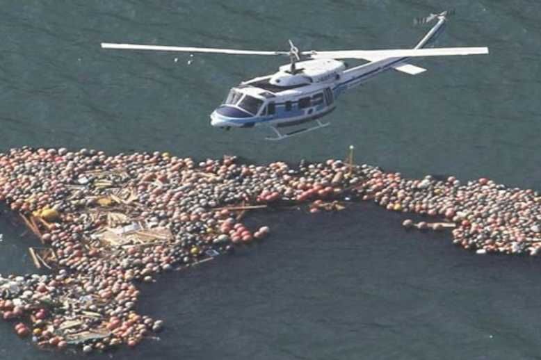 Funding the Cleanup Tsunami Debris in North America | Smart Energy ...